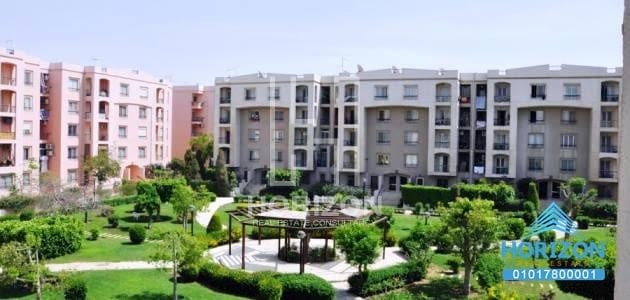 Apartment for rent in El Rehab City New Cairo - Rented - Horizon Estate